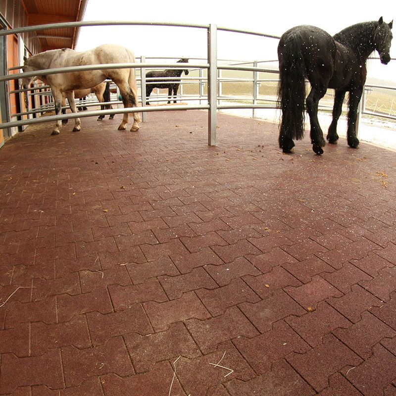 Regupol Equestrian Flooring - Smart Equine